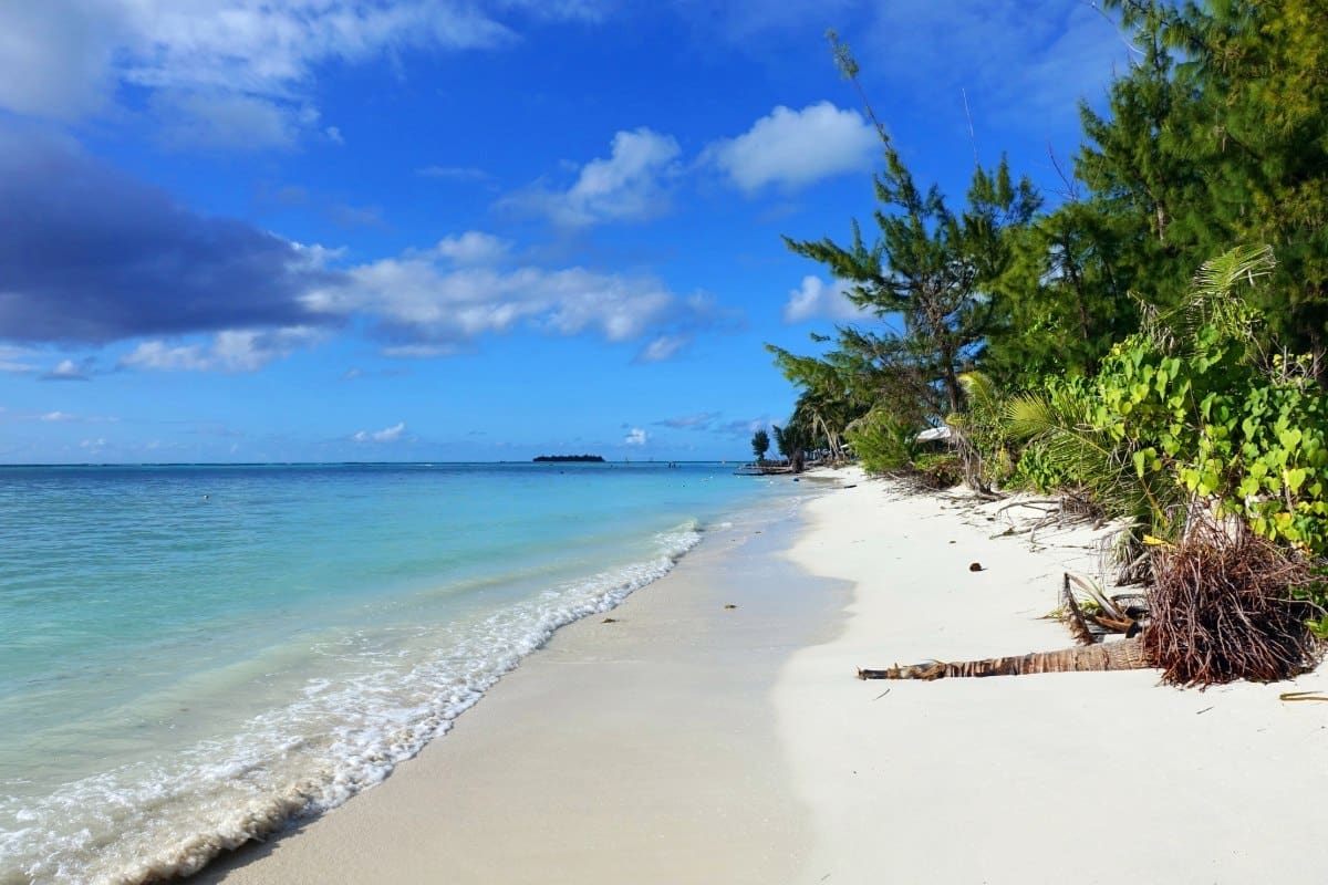 Pacific island utility to implement asset management software — Water ...