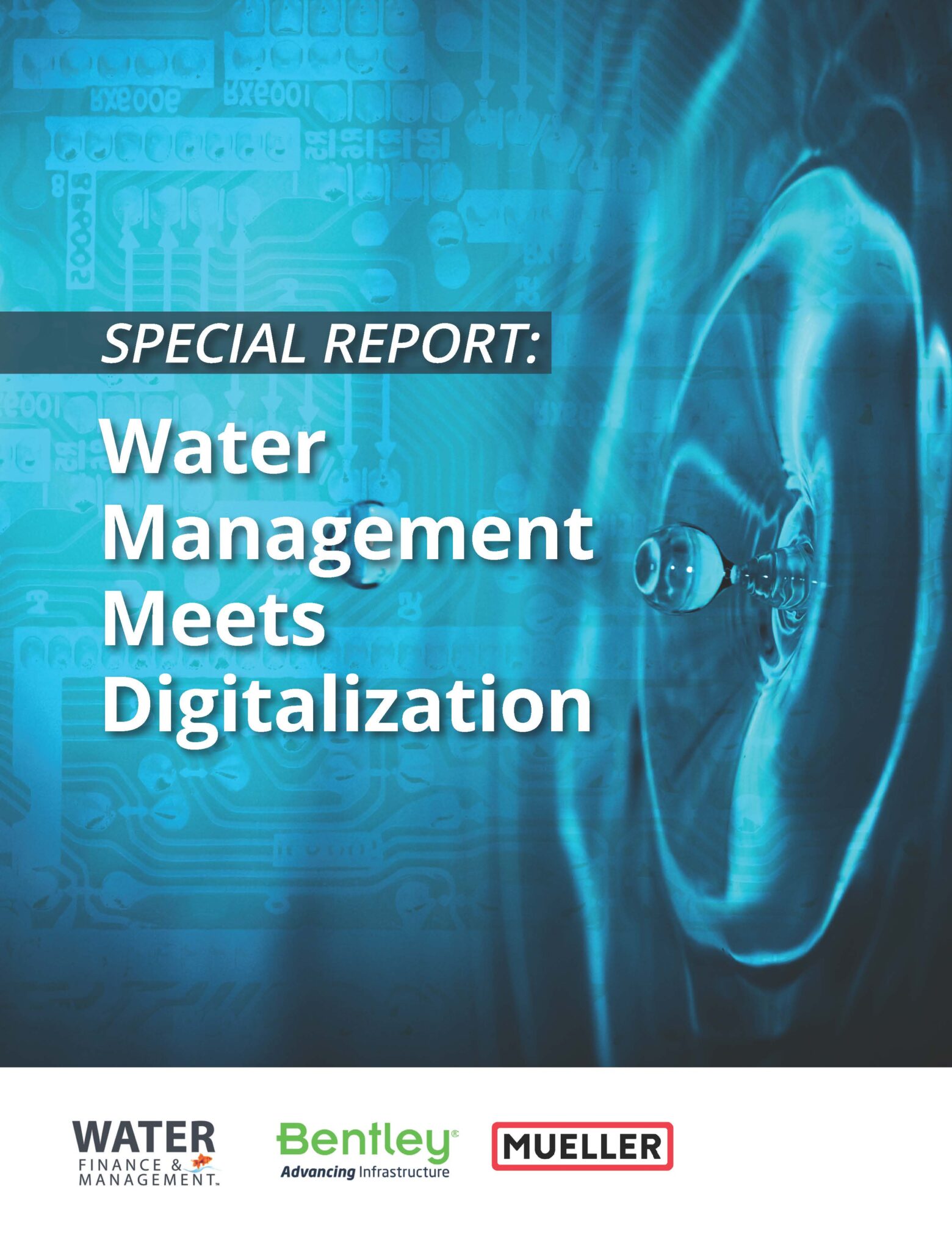 Special Report: Water Management Meets Digitalization — Water Finance ...
