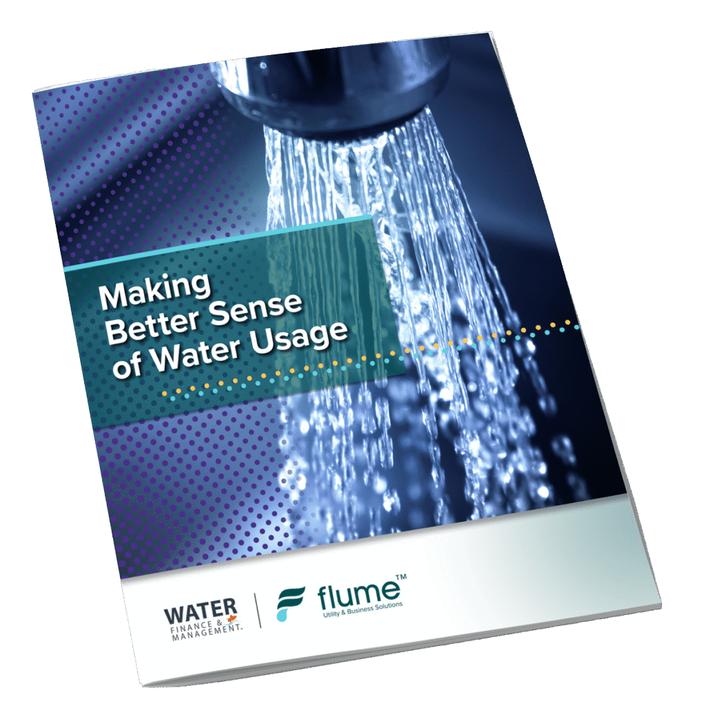 Special Report: Making Better Sense of Water Usage — Water Finance ...