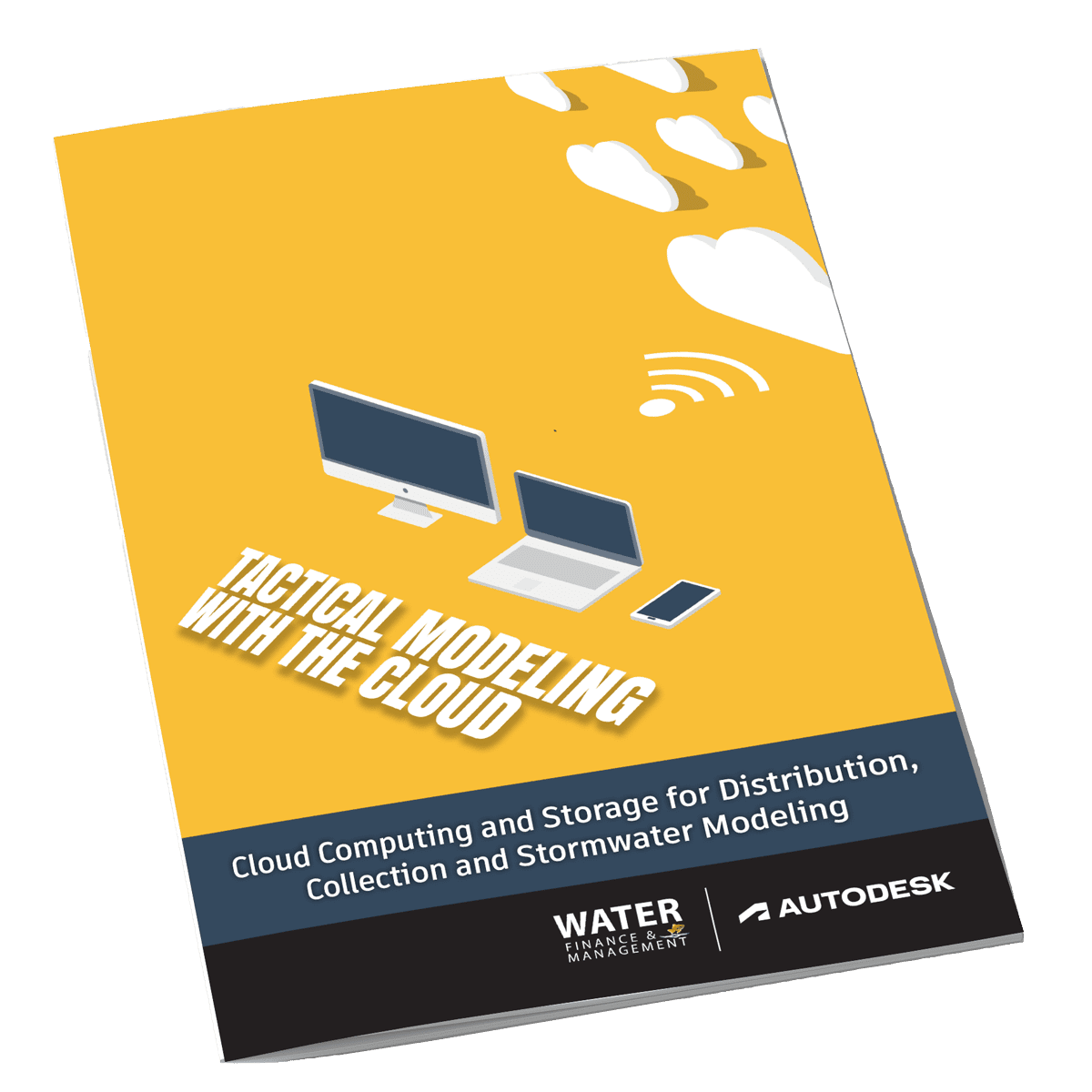 Tactical Modeling with the Cloud — Water Finance & Management